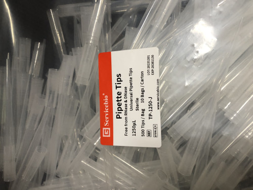 Bulk Pipette Tips, Clear, 1 bag