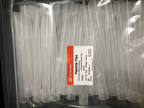 Bulk Pipette Tips, Clear, 1 bag